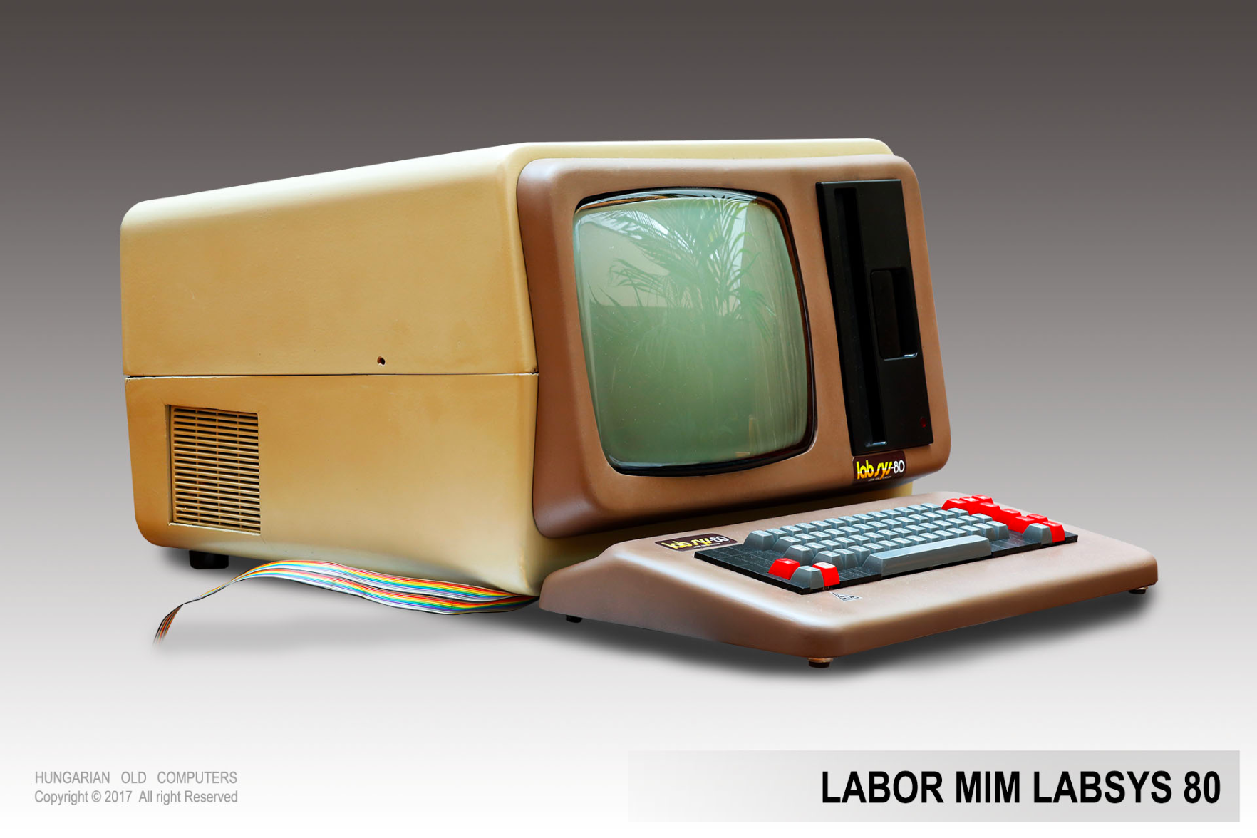 Ben Fry (@benfry@information.garden) - information.garden